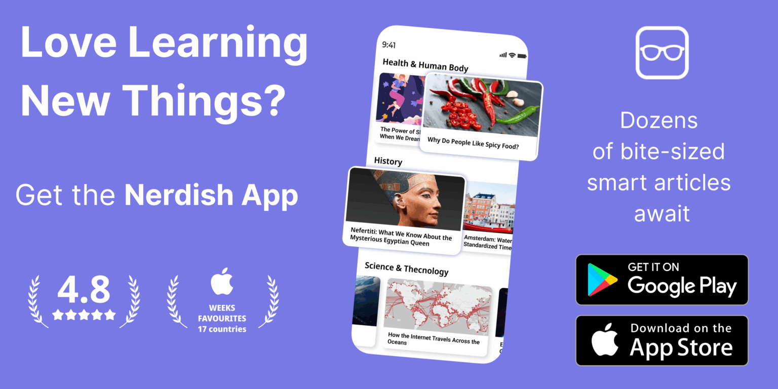 Nerdish Guide: How To Learn About Everything
